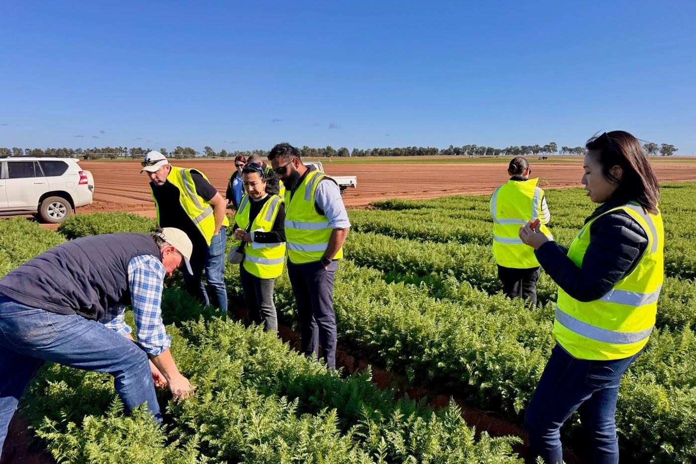 Woolworths visit local farm