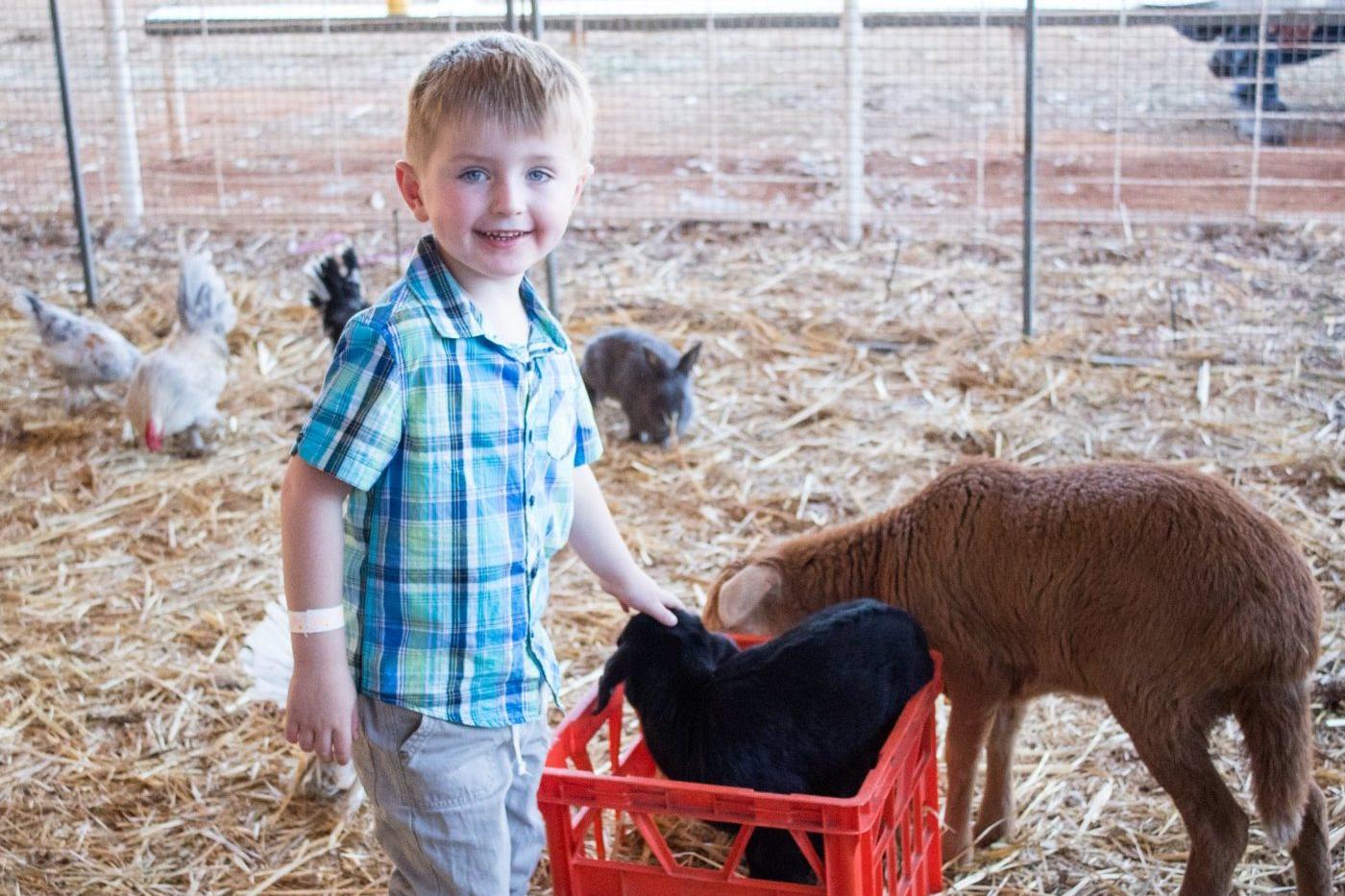 Barellan show remains a part of fabric of community