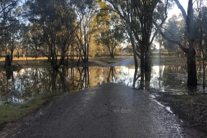 Natural disaster declared for Narrandera LGA